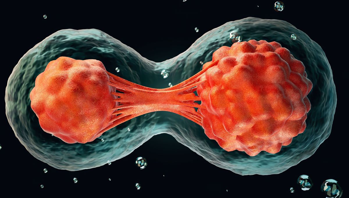 Breaking Ground: Scientists Introduce Lab Models of Human Embryos