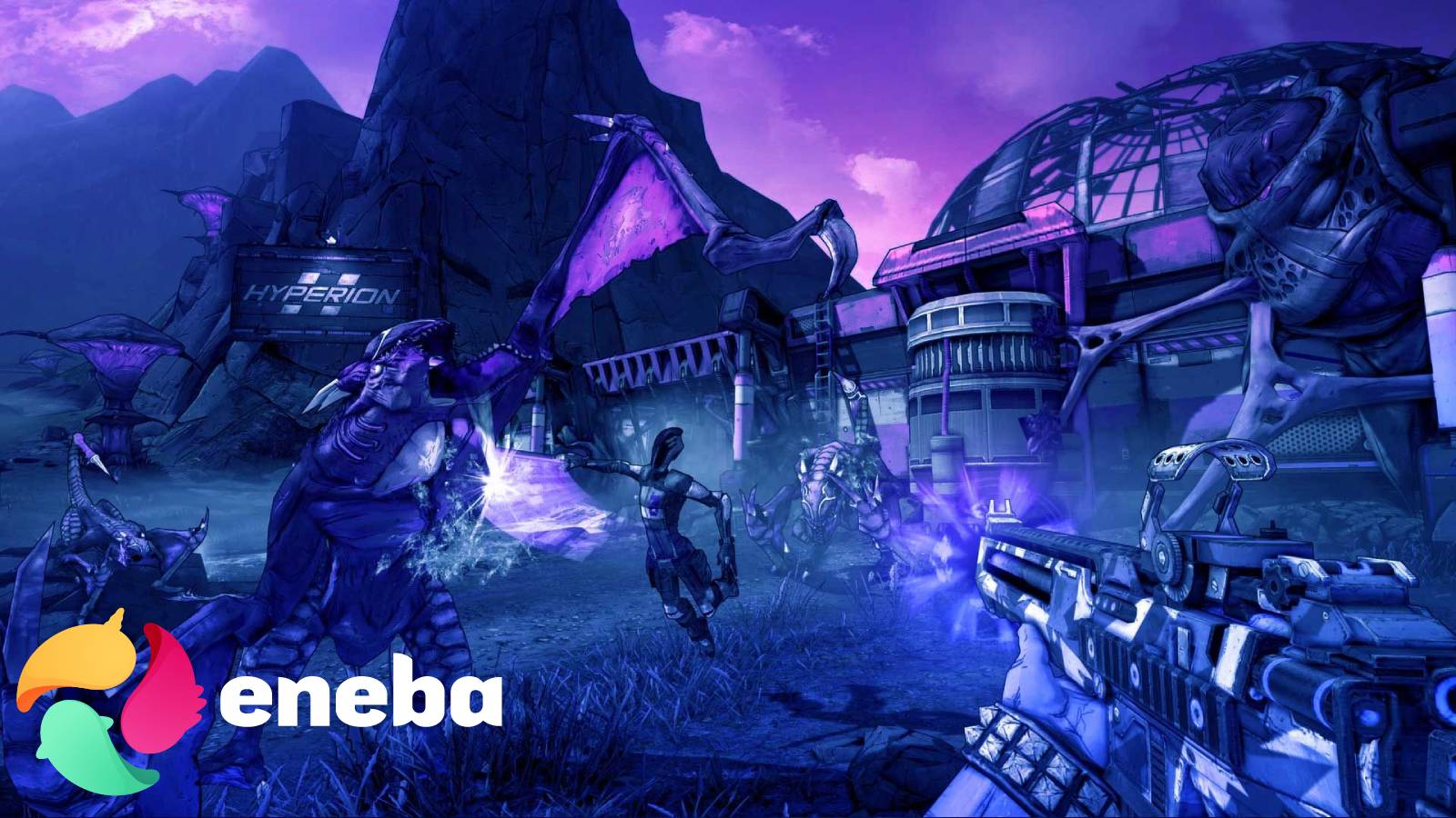 Eneba Review: Uncovering Exclusive Promo Codes and Expert Saving Tips